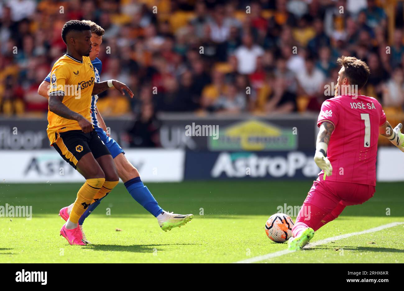 Solly march wolves august 2023 hi-res stock photography and images - Alamy