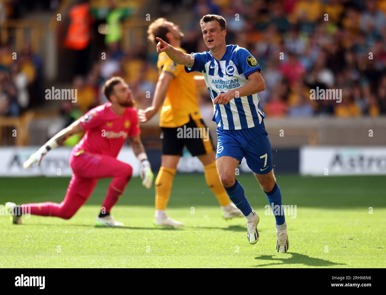 Solly march wolves august 2023 hi-res stock photography and images - Alamy