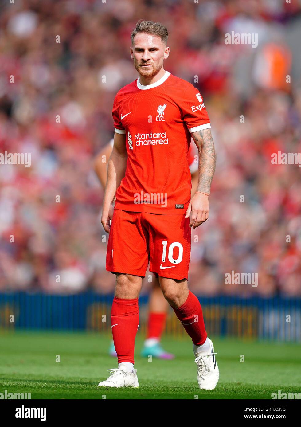 Mac allister liverpool 2023 hi-res stock photography and images - Alamy