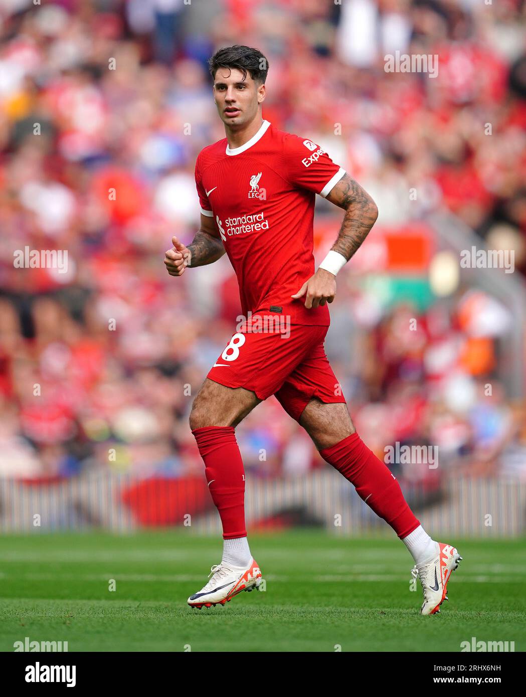 Liverpool's Dominik Szoboszlai during the Premier League match at ...