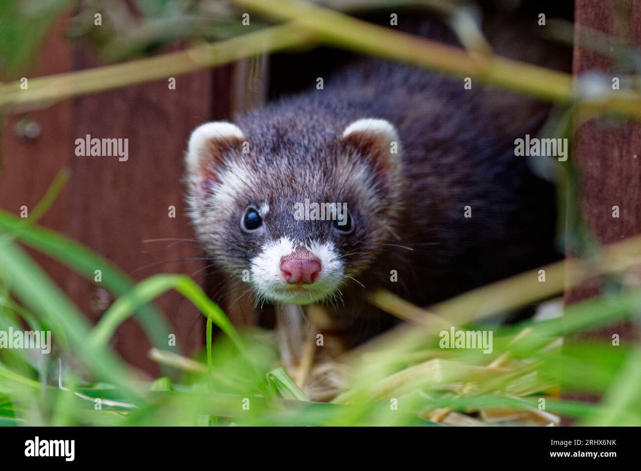 Thummort hi-res stock photography and images - Alamy