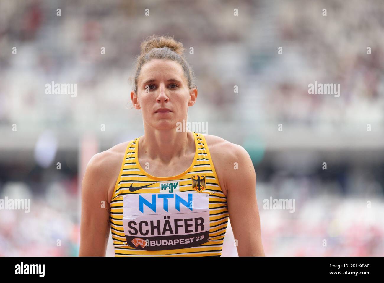 Schaefer germany hi-res stock photography and images - Alamy