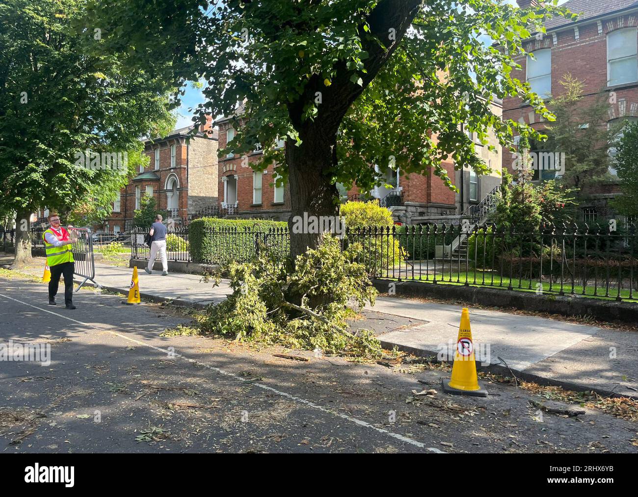 Felled branches in Dublin City centre in the aftermath of high winds on ...