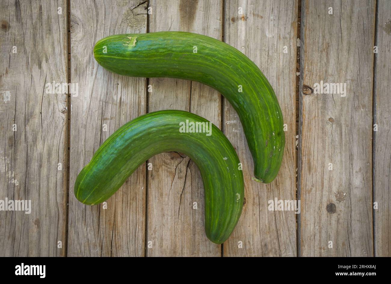 Cucumbers on field hi-res stock photography and images - Alamy
