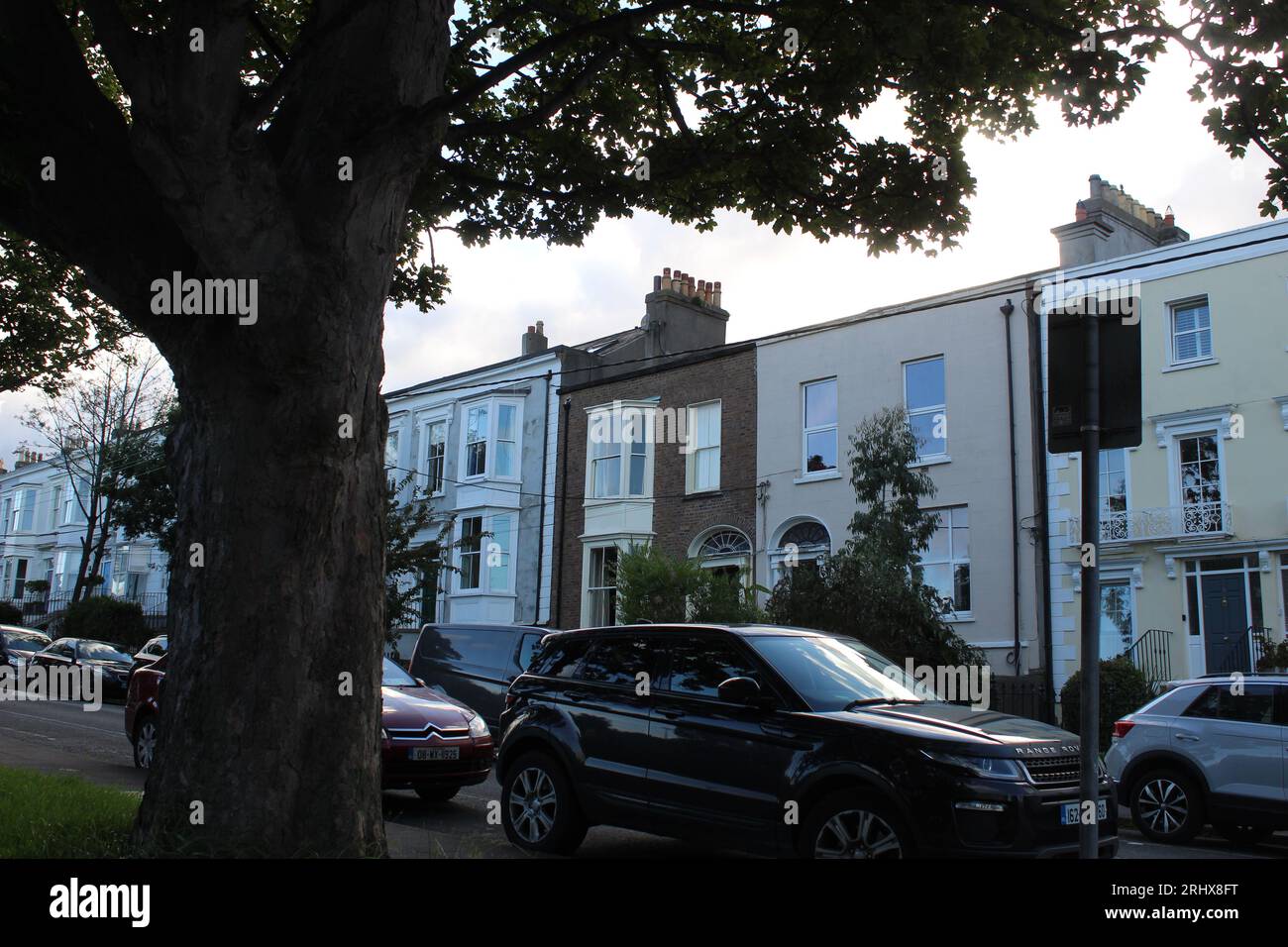 A photo of an urban street with houses and a tall tree Stock Photo - Alamy