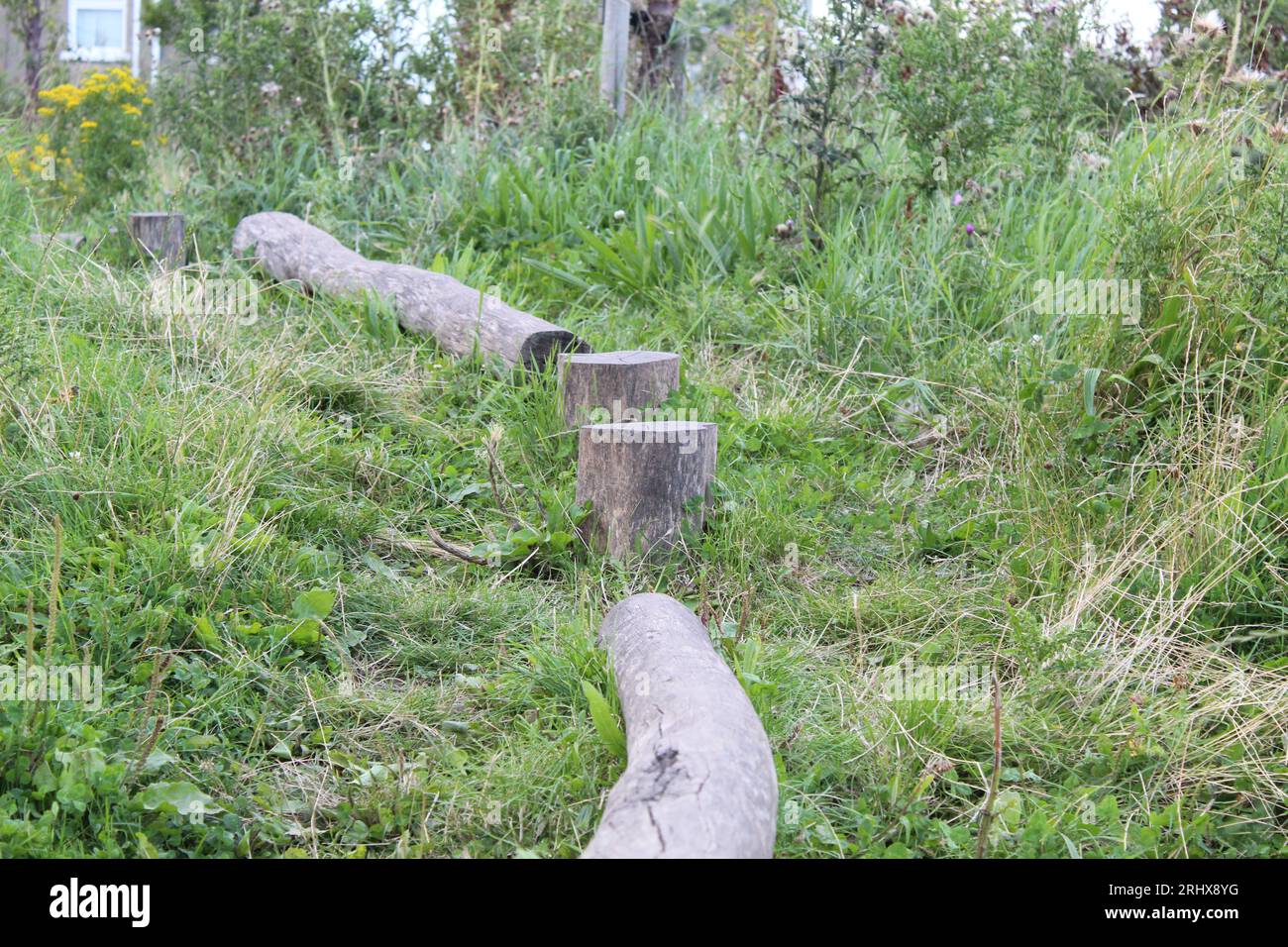 A photo of a wooden log across a grass area Stock Photo - Alamy
