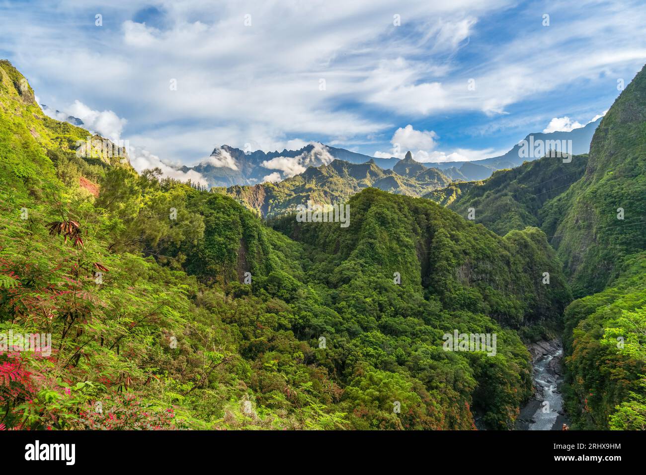 Landscape with National Park and tropical rainforest of Reunion Island ...