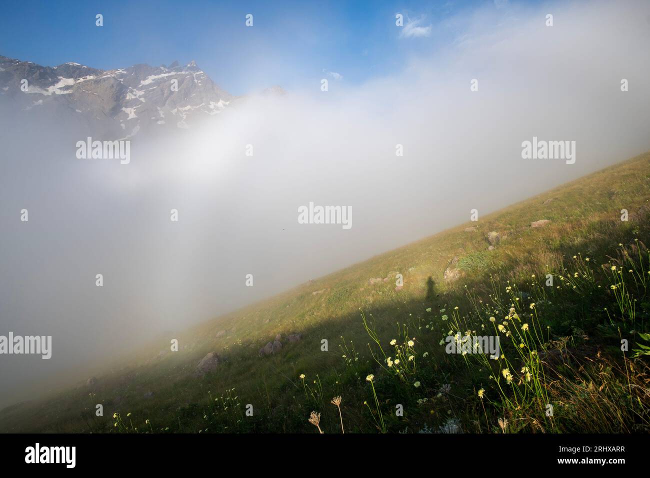 Beautiful morning mountain landscape hi-res stock photography and ...