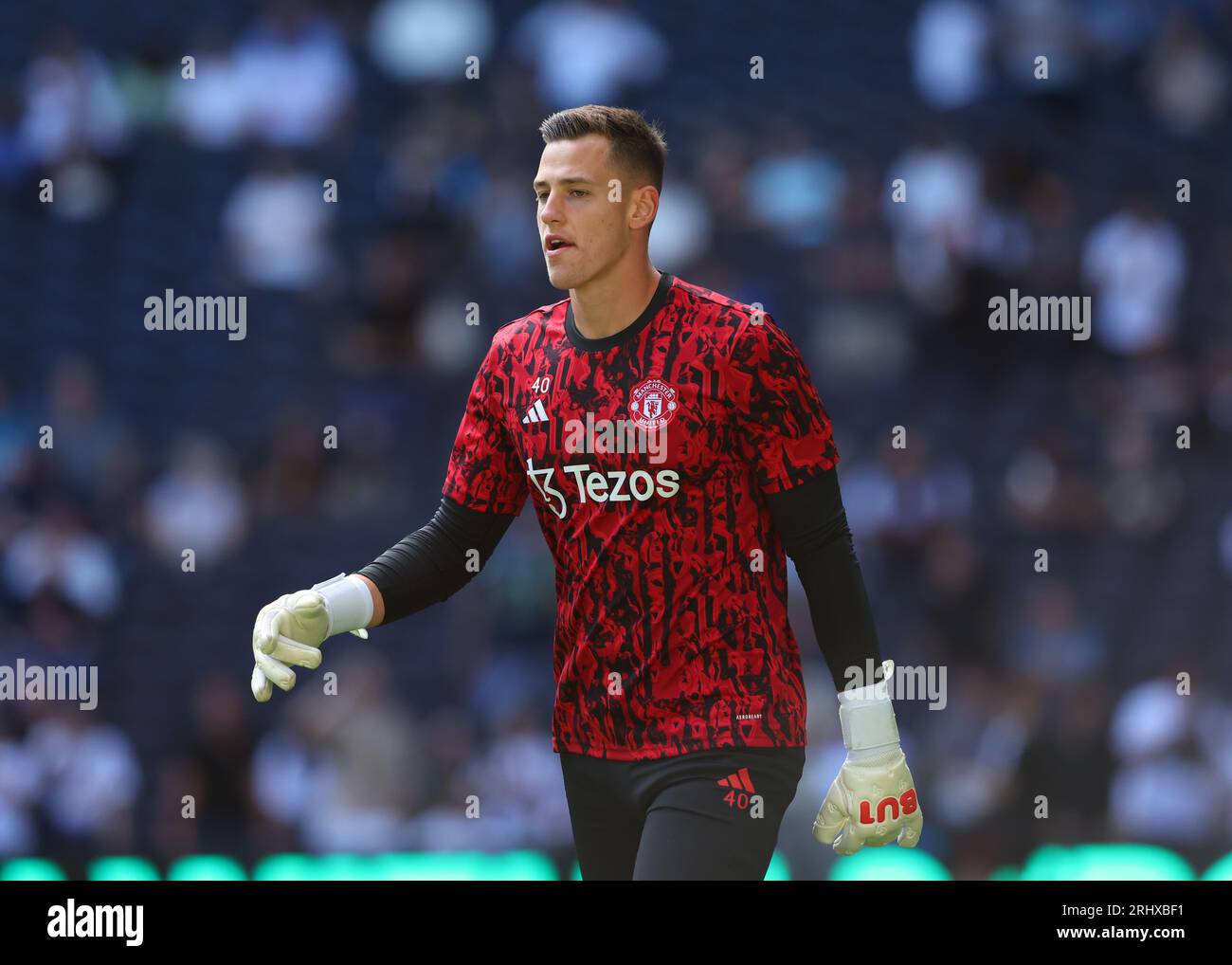 Radek vitek manchester united hi-res stock photography and images - Alamy
