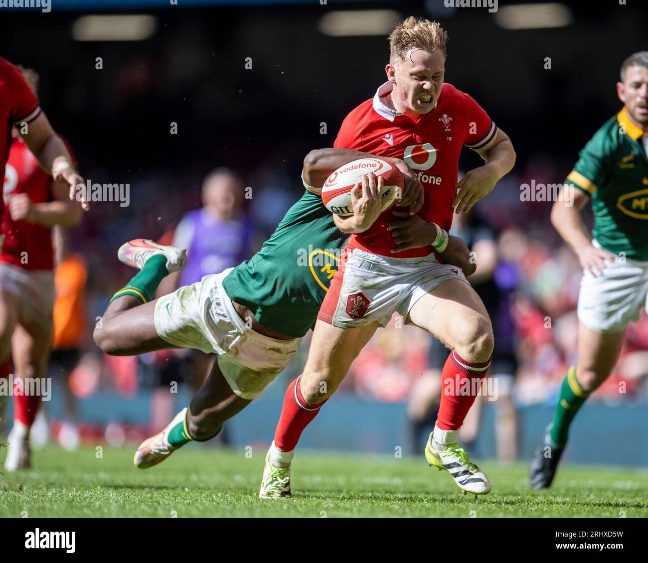 Sam costelow wales rugby hi-res stock photography and images - Alamy