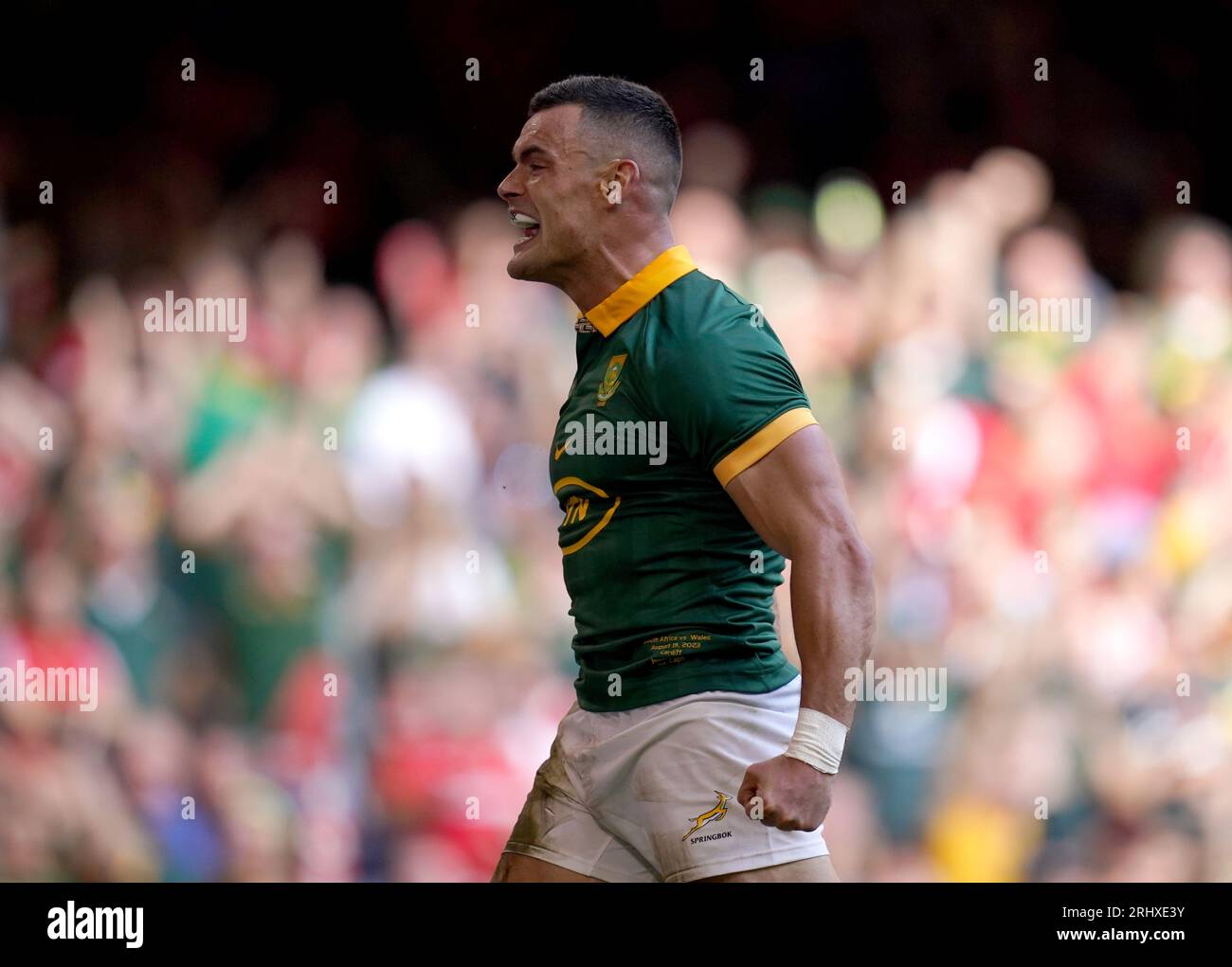 South Africa's Jesse Kriel celebrates scoring his sides fourth try ...