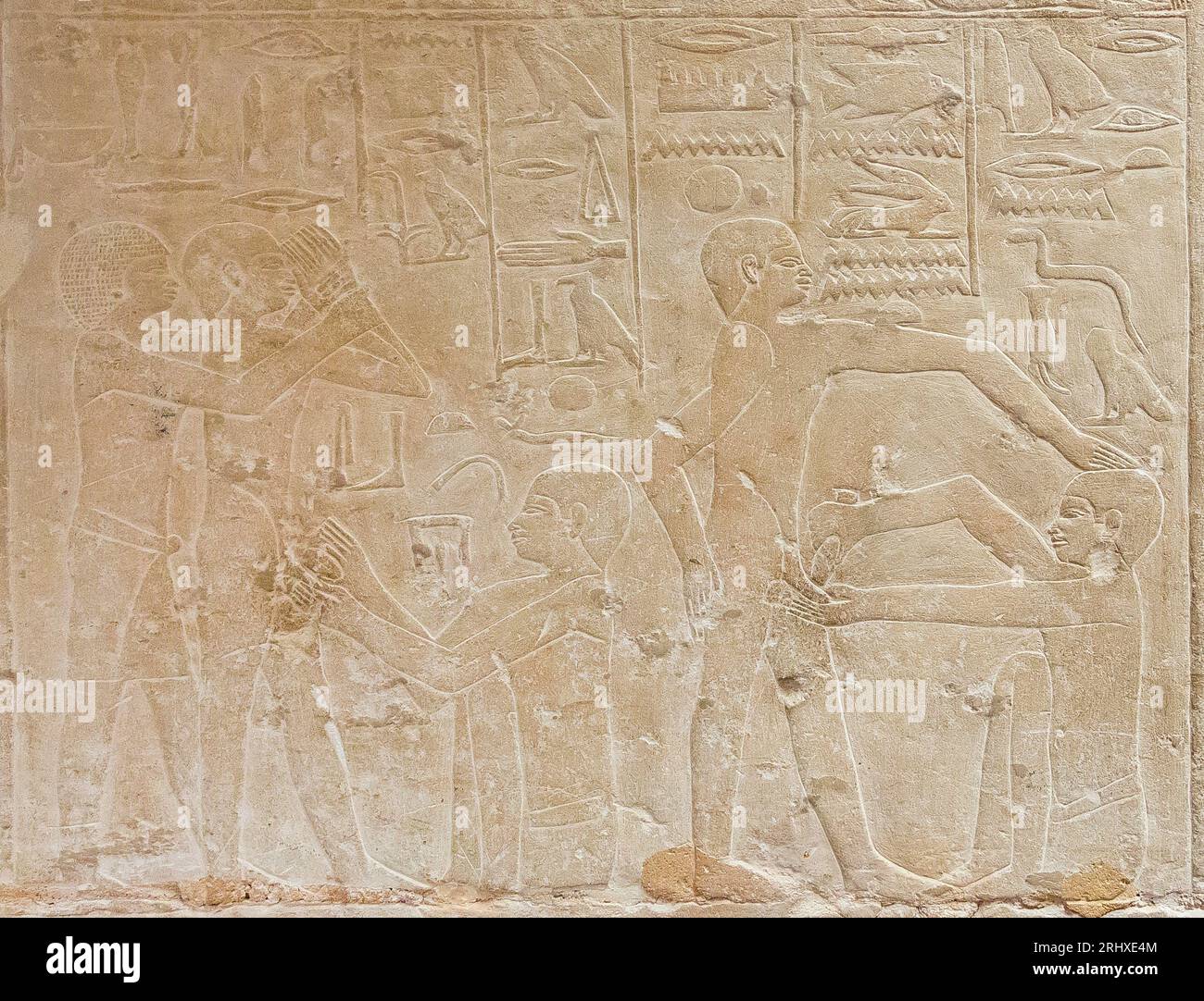 Egypt, Saqqara, tomb of Ankhmahor, famous and rare scene of ...