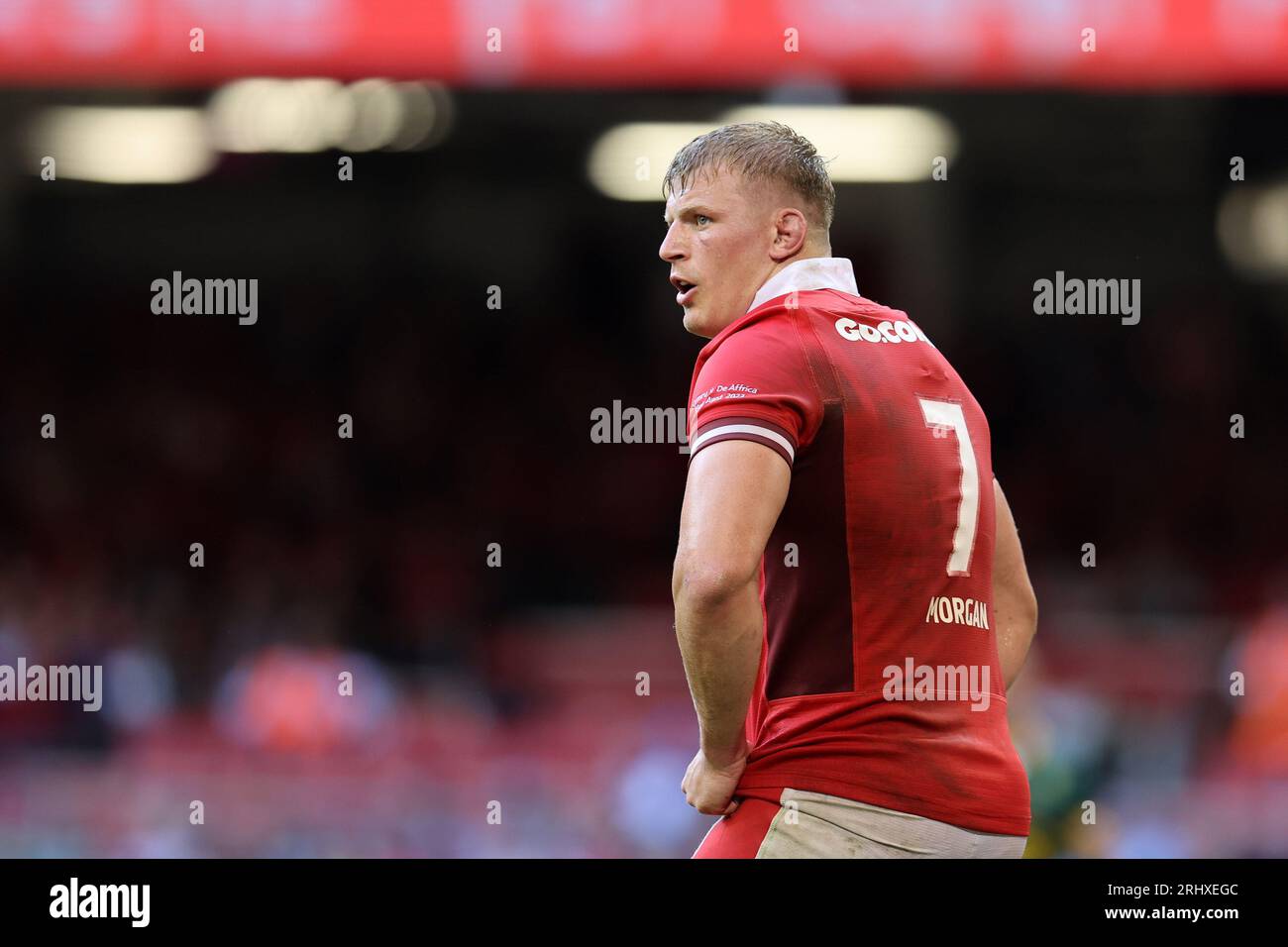 Jac morgan august 2023 hi-res stock photography and images - Alamy