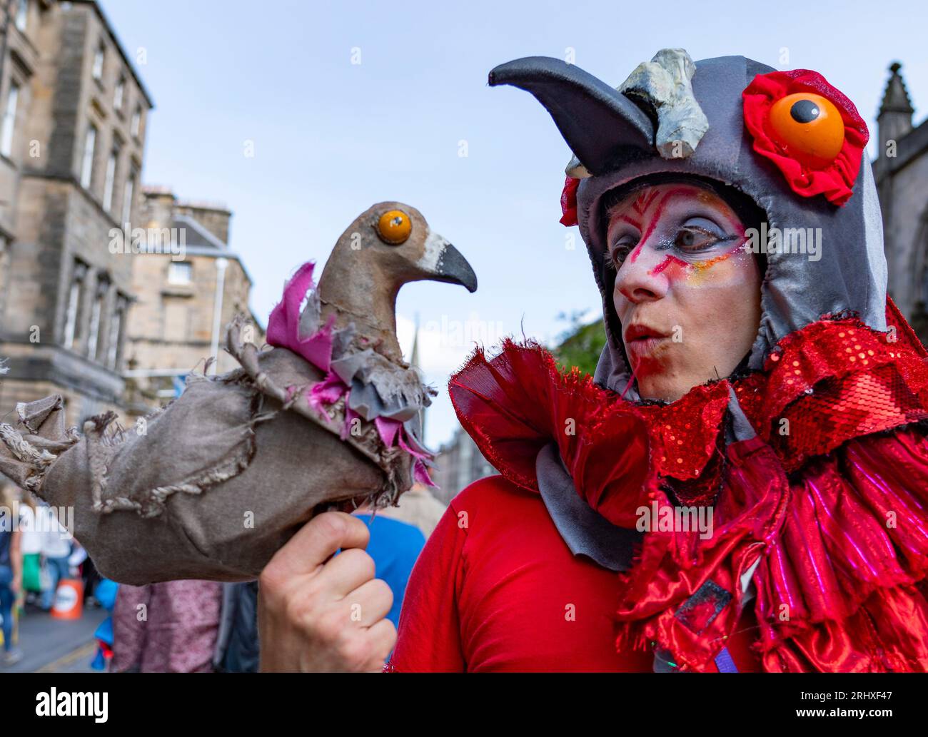 Pigeons pic hi-res stock photography and images - Alamy