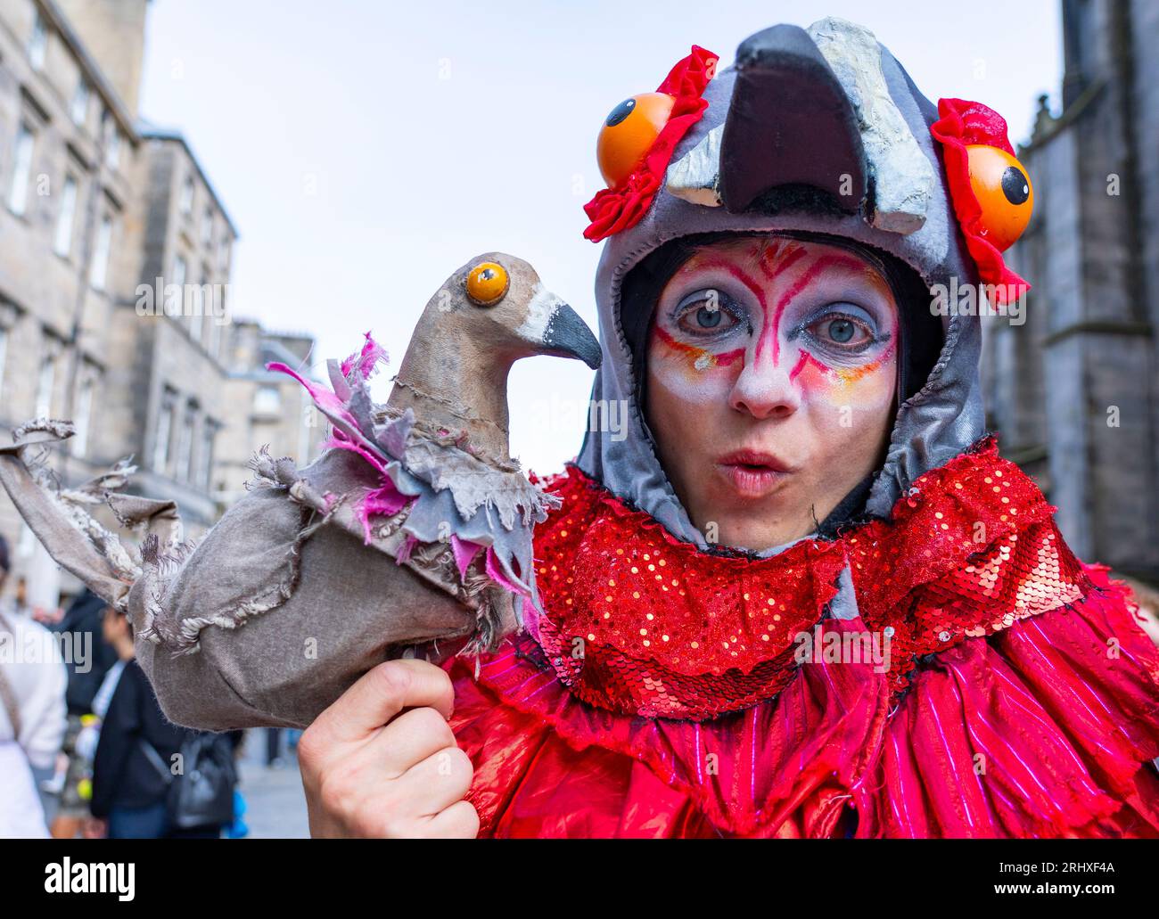 Pigeons pic hi-res stock photography and images - Alamy