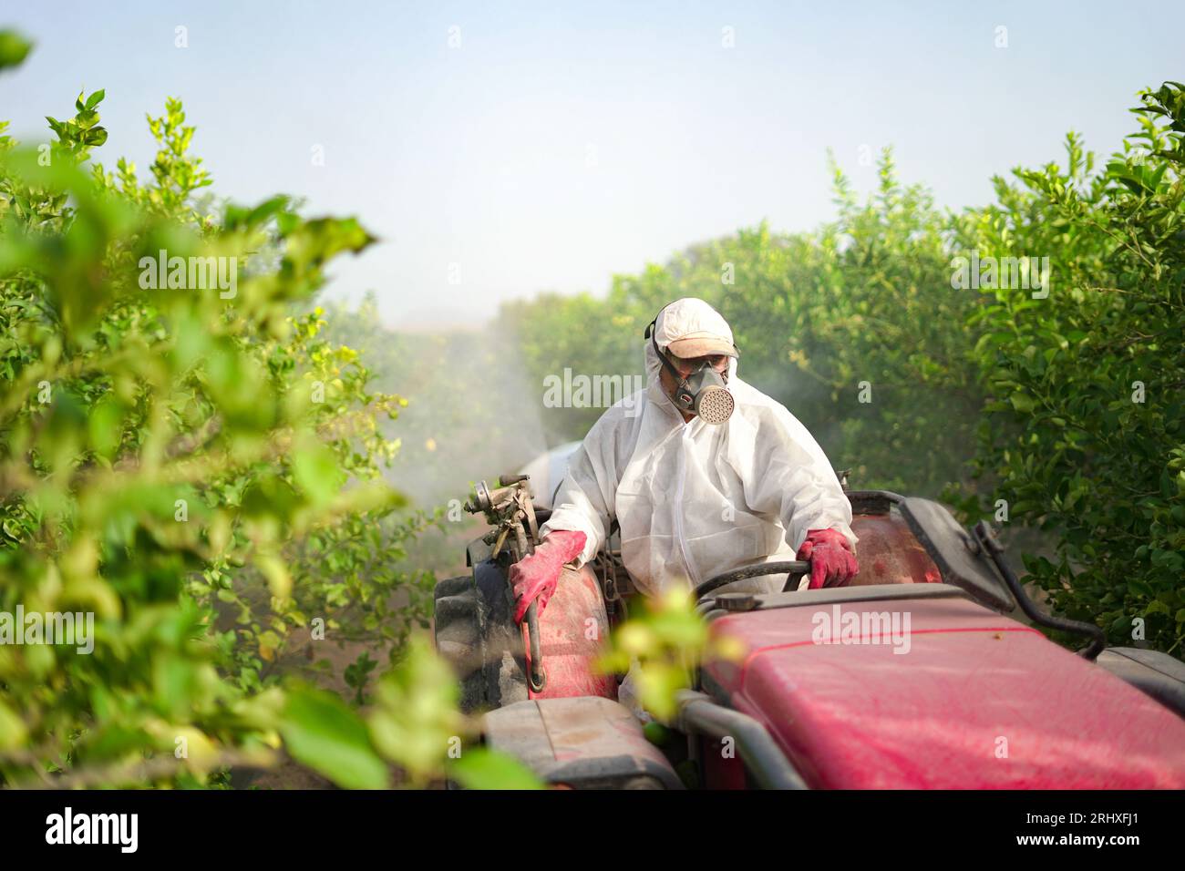 Fumigating tree hi-res stock photography and images - Alamy