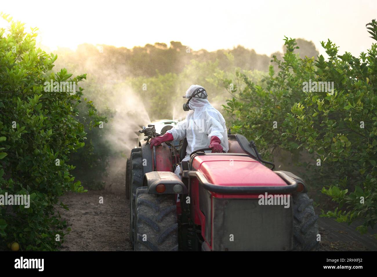 Side view of anonymous farmer wearing protective suit and mask spraying ...