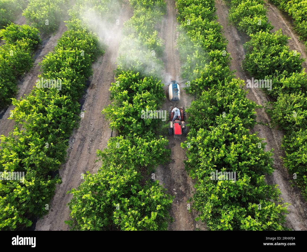 Weed sprayers hi-res stock photography and images - Alamy