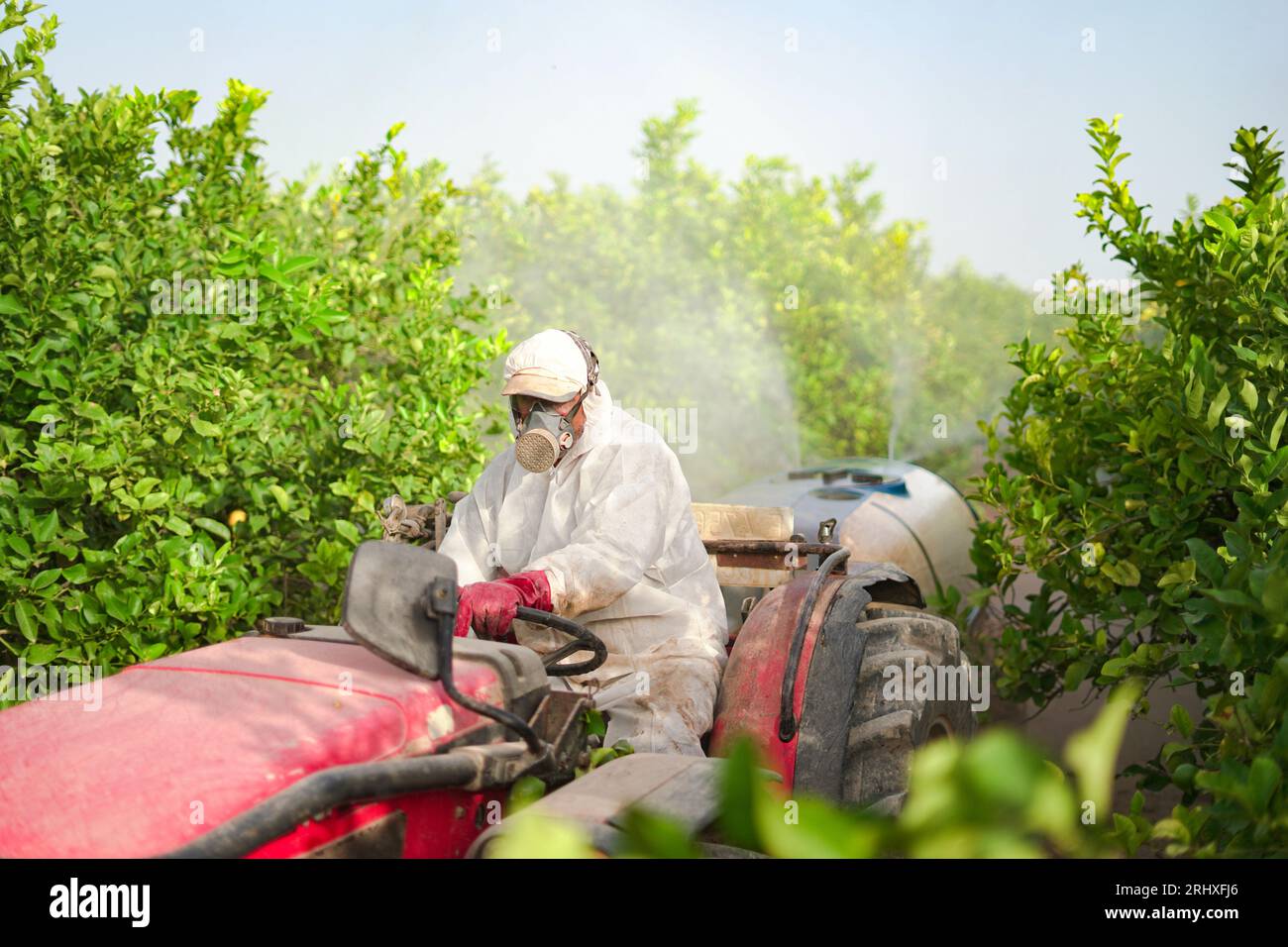 Anonymous farmer wearing protective suit and mask spraying pesticide ...