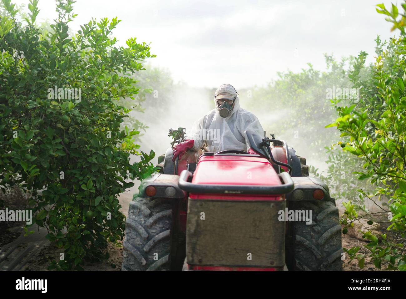 Anonymous farmer wearing protective suit and mask spraying pesticide ...
