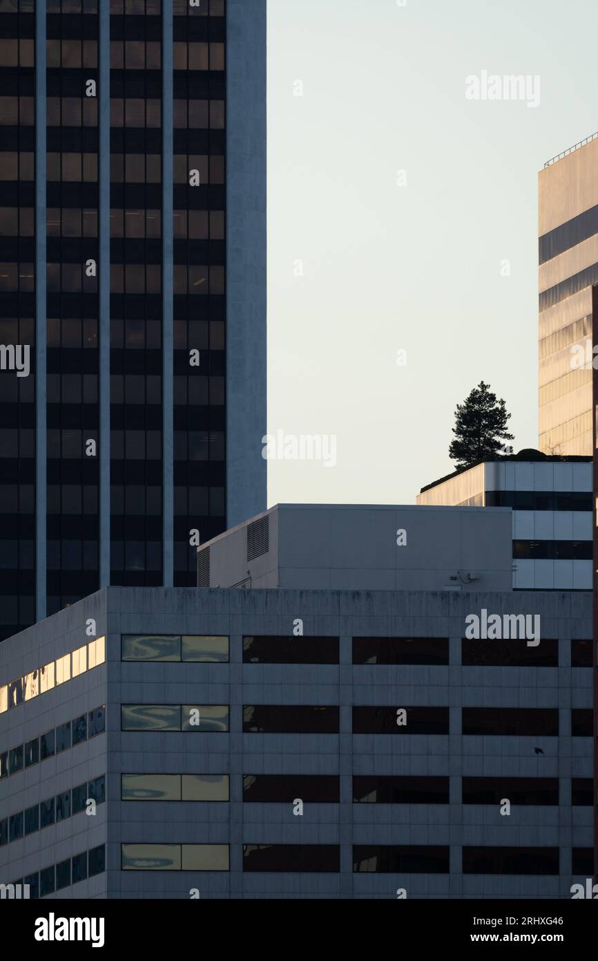 Portland oregon green roof hi-res stock photography and images - Alamy