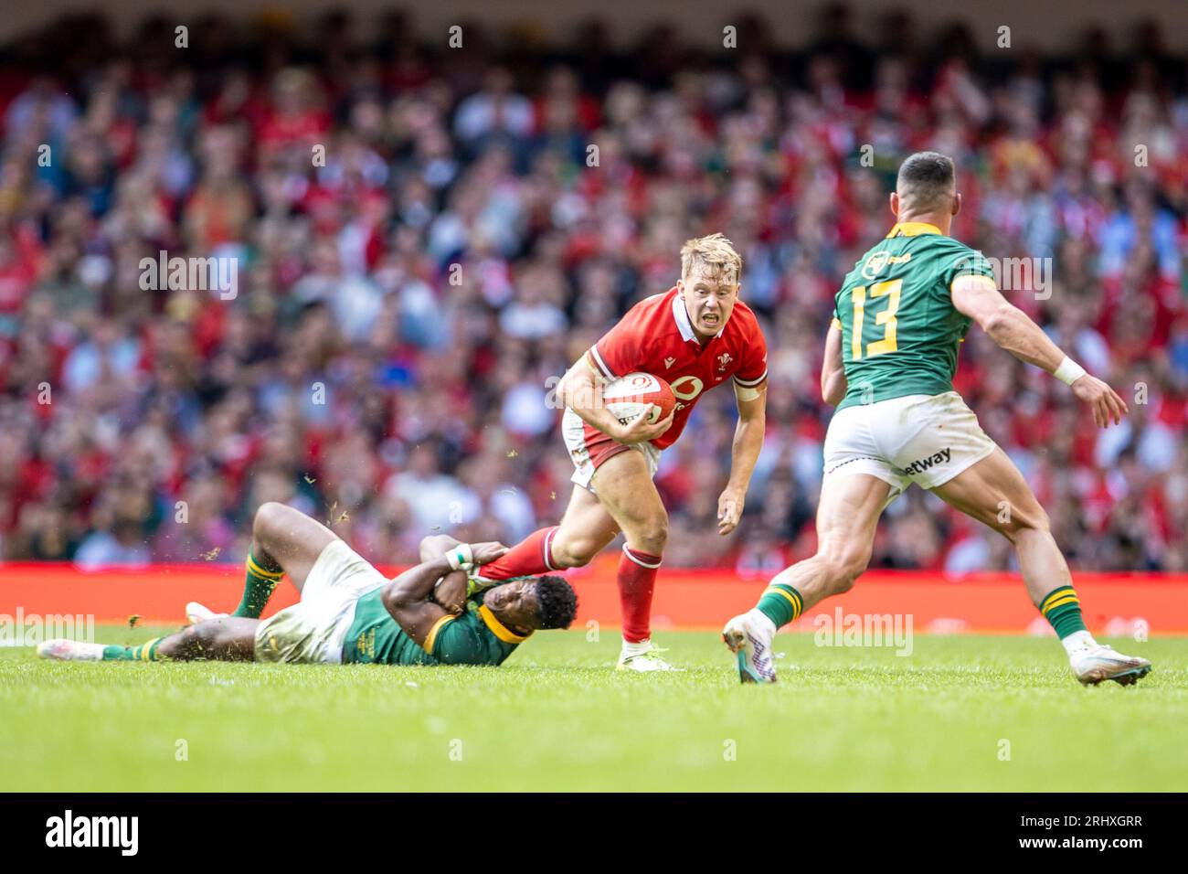 Principality Stadium, Cardiff, UK. 19th Aug, 2023. Summer Rugby ...