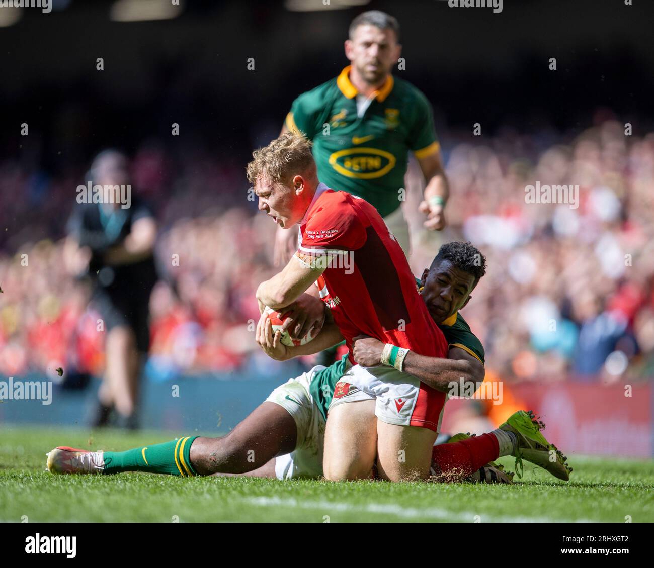 Sam costelow wales rugby hi-res stock photography and images - Alamy