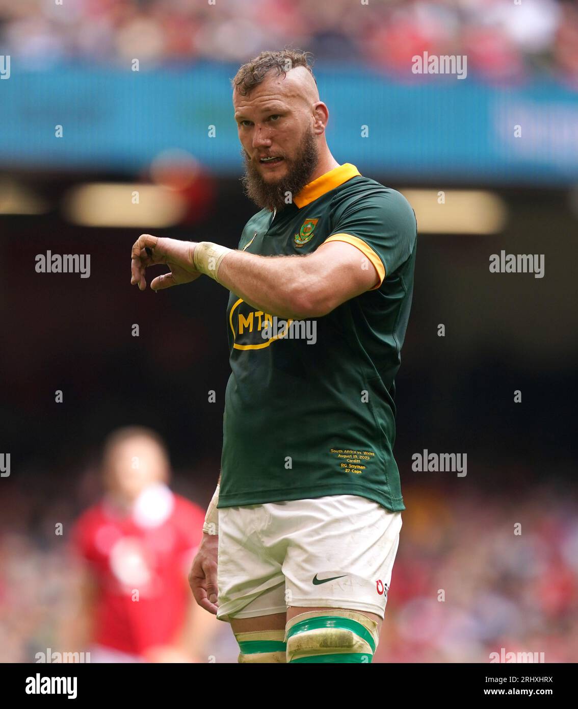 Rg snyman hi-res stock photography and images - Alamy