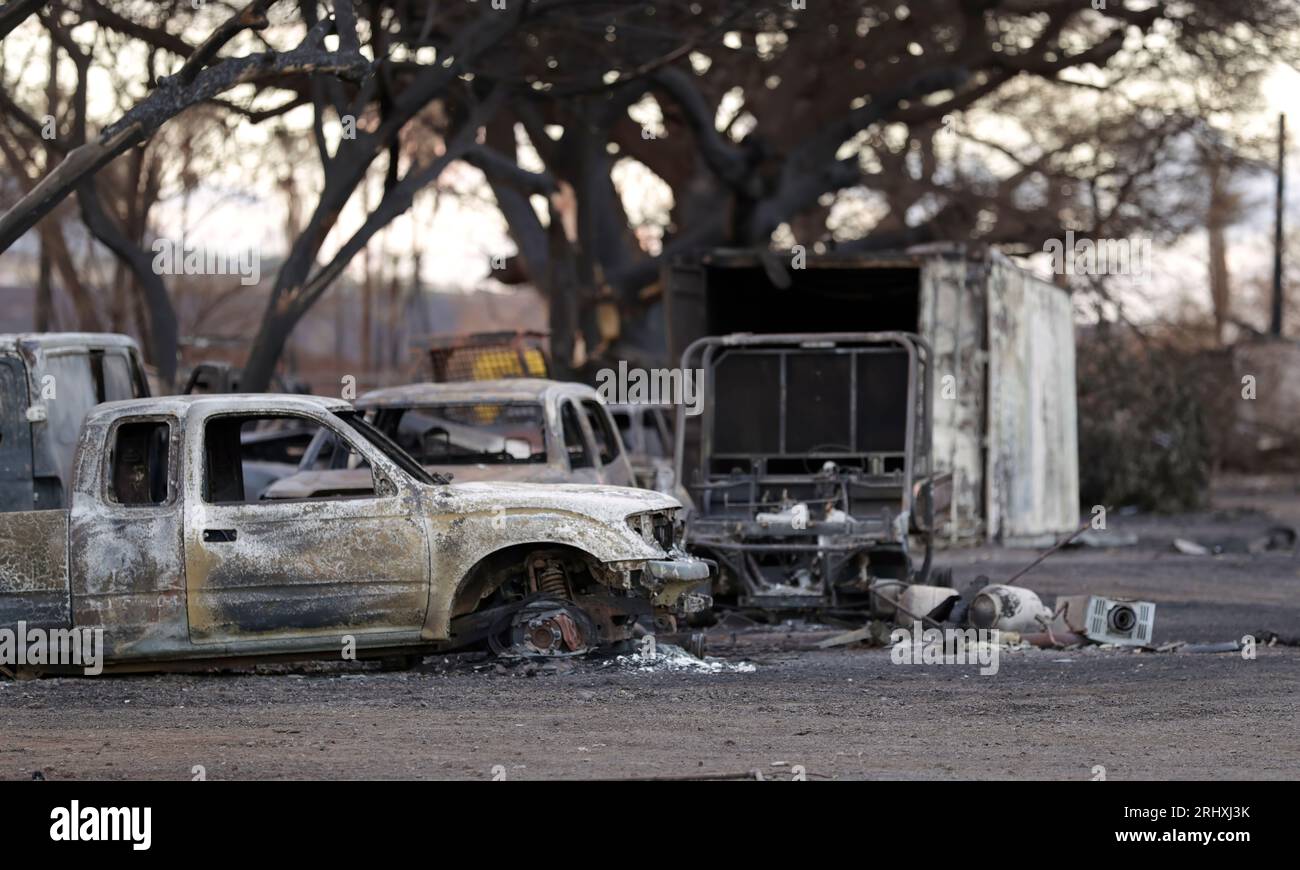 Charred vehicles litter the landscape in the aftermath of a wildfire in ...