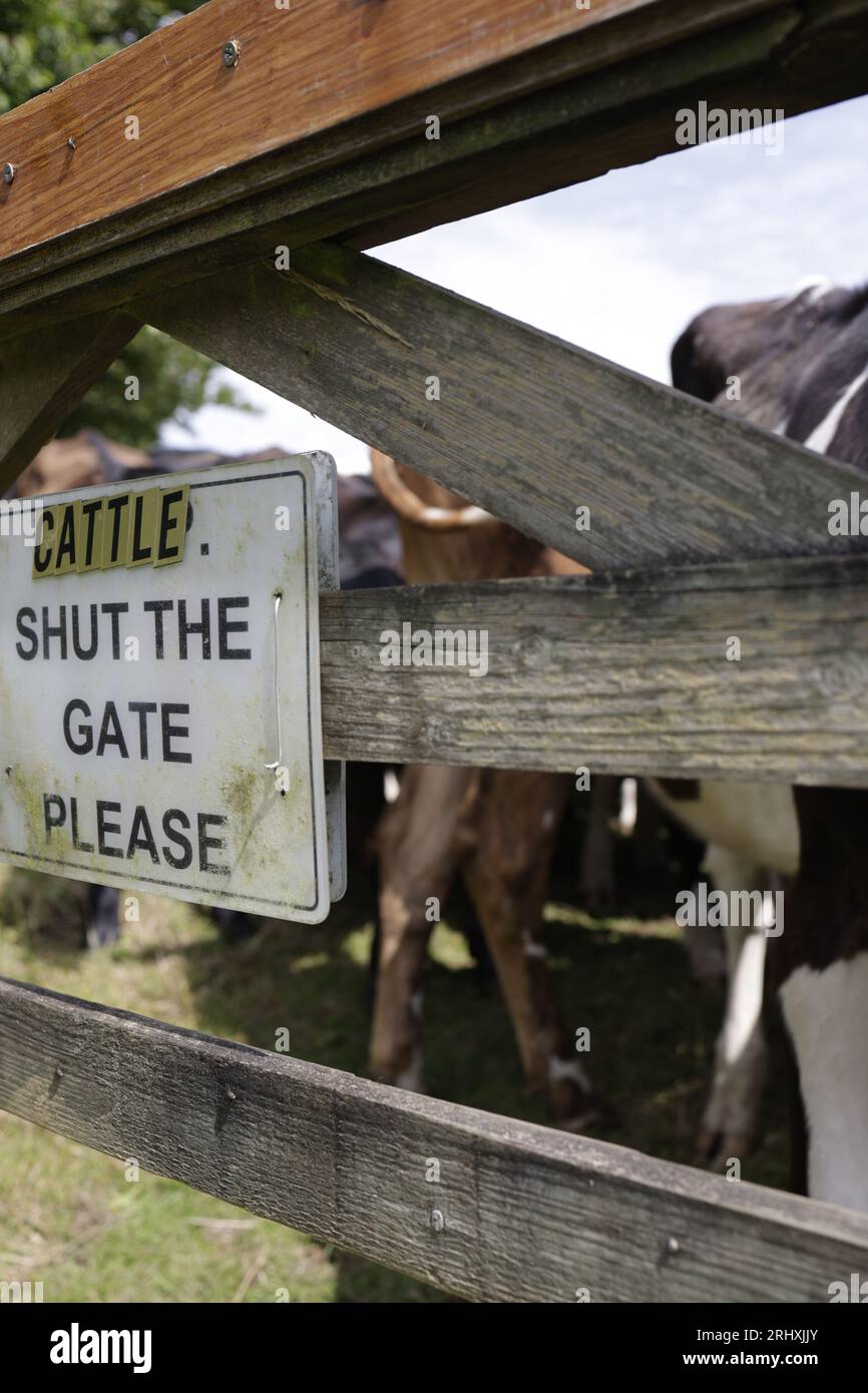 Cattle observation hi-res stock photography and images - Alamy