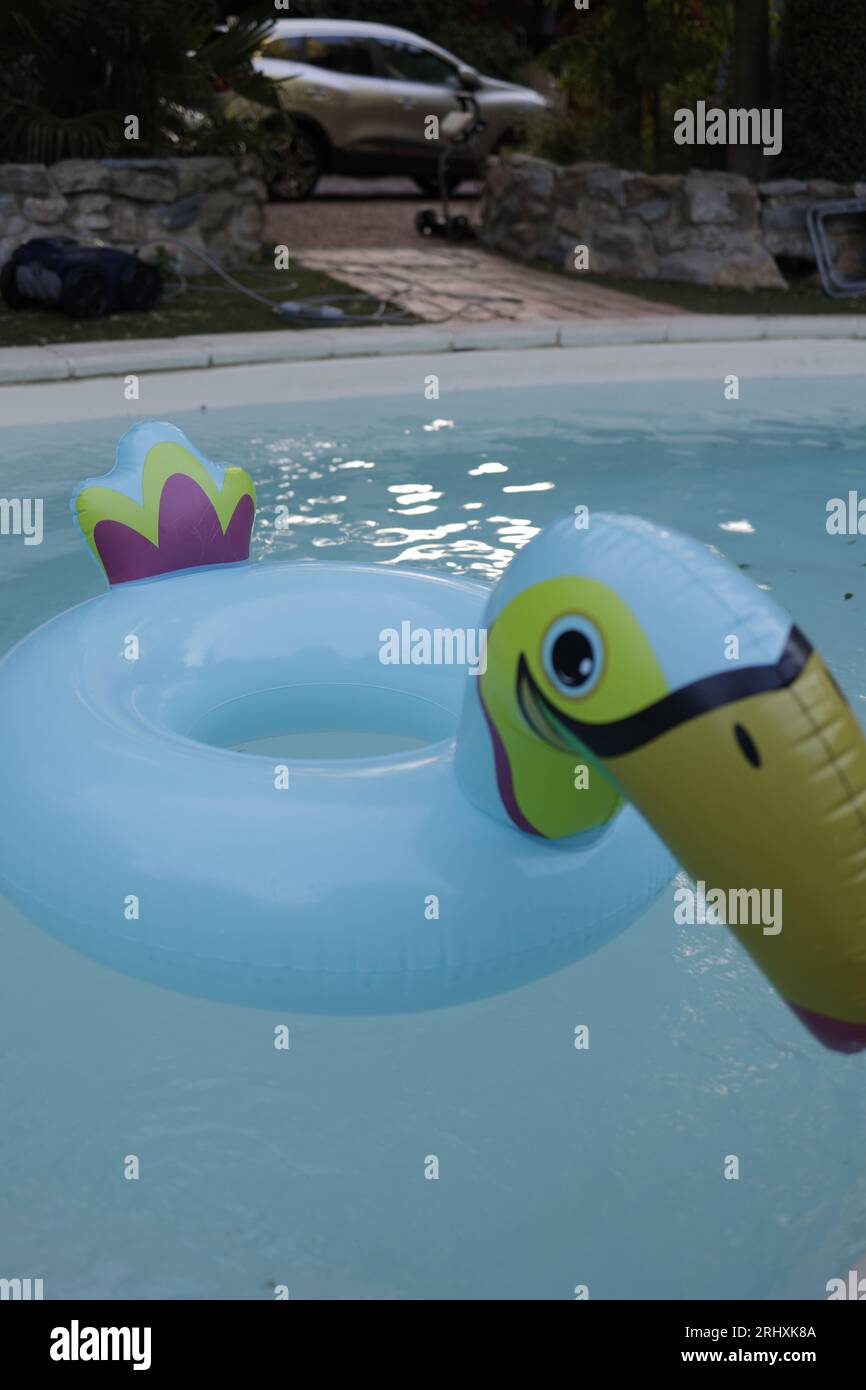 Inflatable blue pelican in pool Stock Photo - Alamy