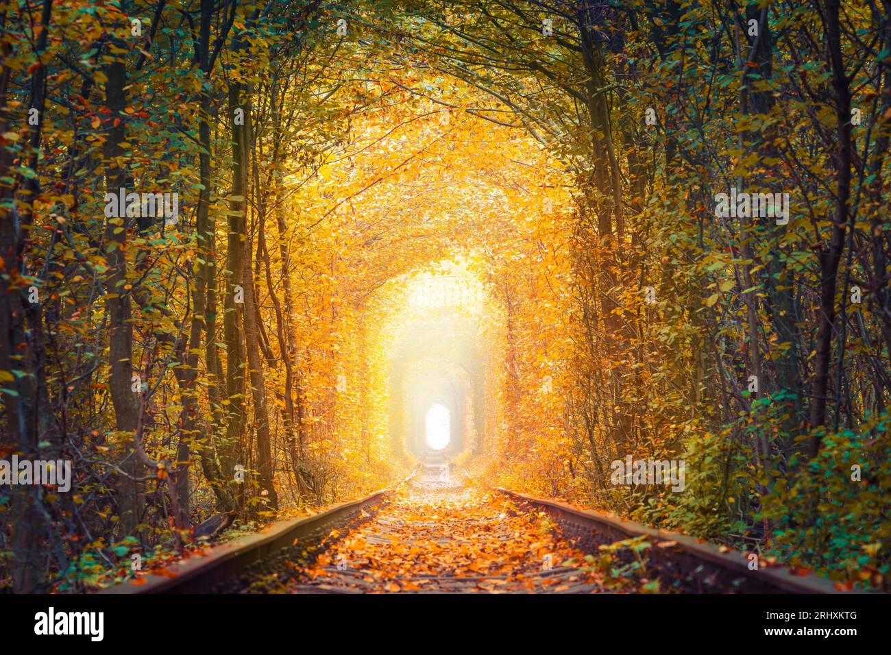 Fall season landscape - Fantastic Autumn Trees Tunnel with old railway ...
