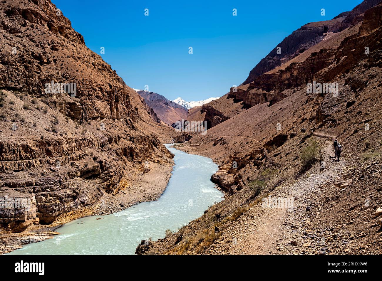 Trekking to Zanskar above the Tsarab Chu River, Ladakh, India Stock ...