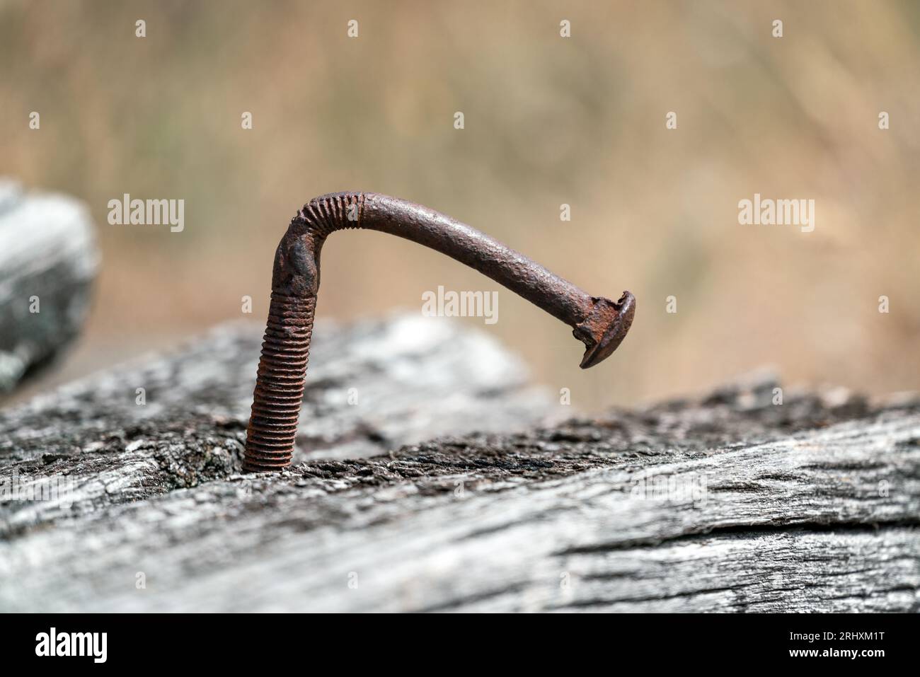 A very long rusty nail in a wooden park bench Stock Photo - Alamy