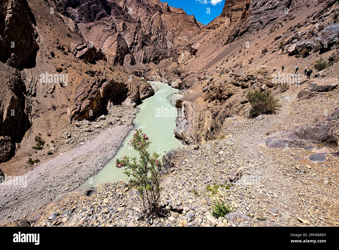 Trekking to Zanskar above the Tsarab Chu River, Ladakh, India Stock ...