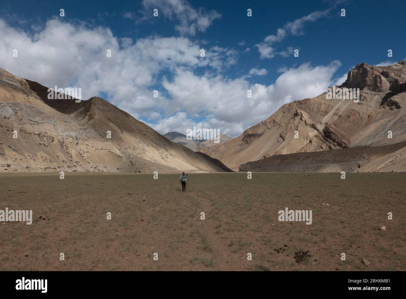 High desert scenery trekking to Zanskar, Ladakh, India Stock Photo - Alamy