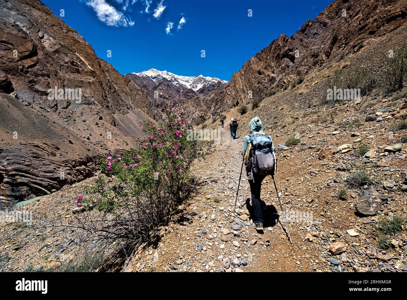High desert scenery trekking to Zanskar, Ladakh, India Stock Photo - Alamy