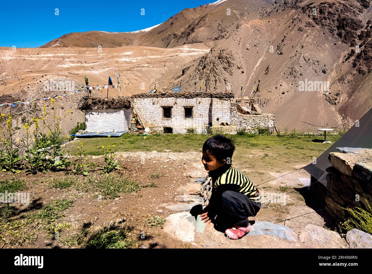 Traditional village scene, trekking in Zanskar, Ladakh, India Stock ...