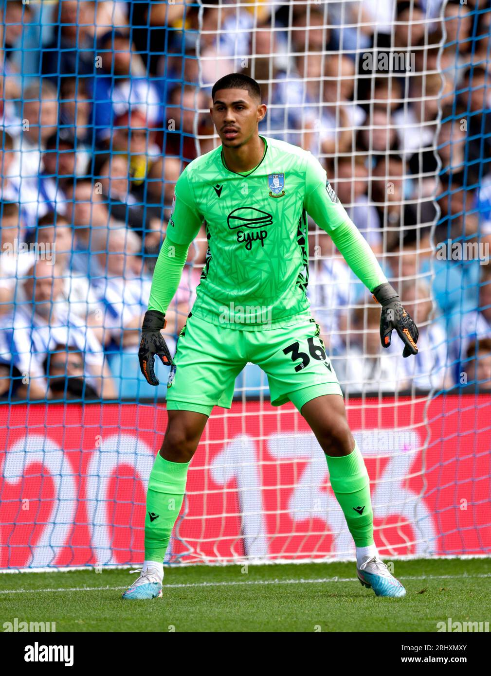 Devis vasquez hi-res stock photography and images - Alamy