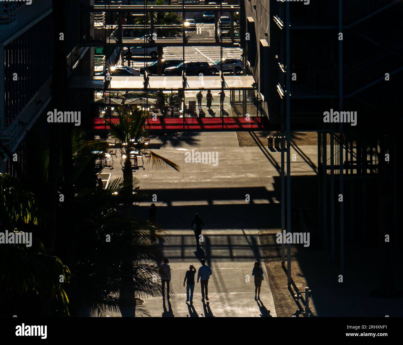 Urban pedestrians casting long shadows in the afternoon, high angle ...