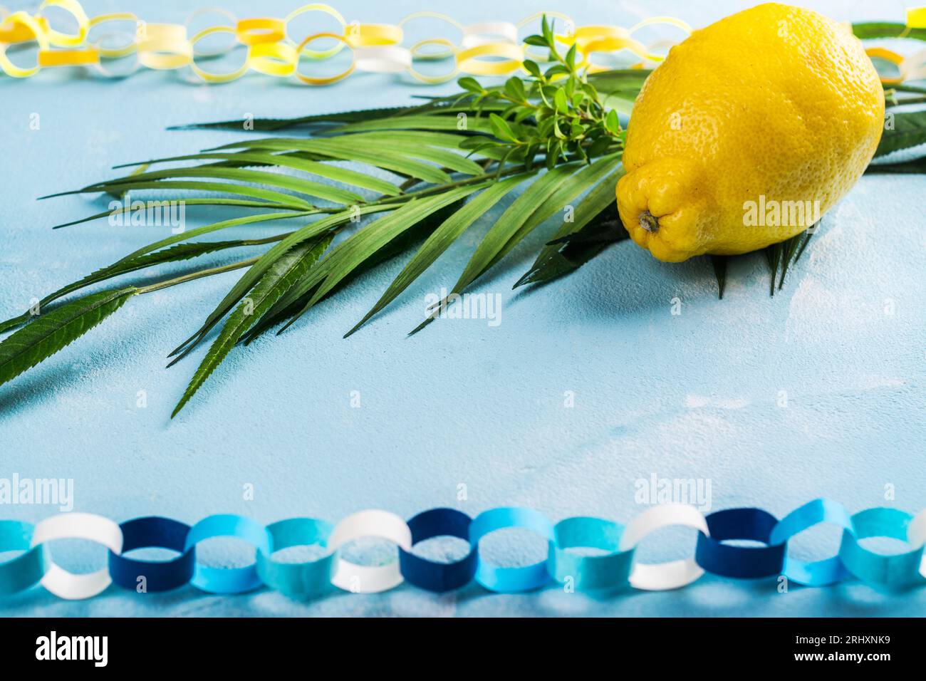 Jewish holiday Sukkot. Traditional symbols, citron, myrtle, branch of ...