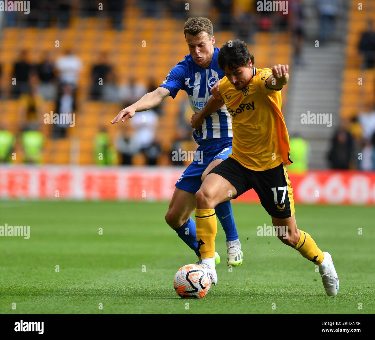 Solly march wolves august 2023 hi-res stock photography and images - Alamy