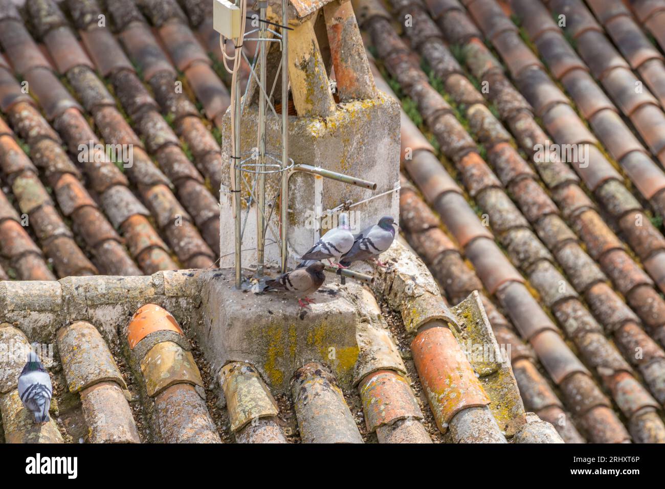 Castilian homes hi-res stock photography and images - Alamy