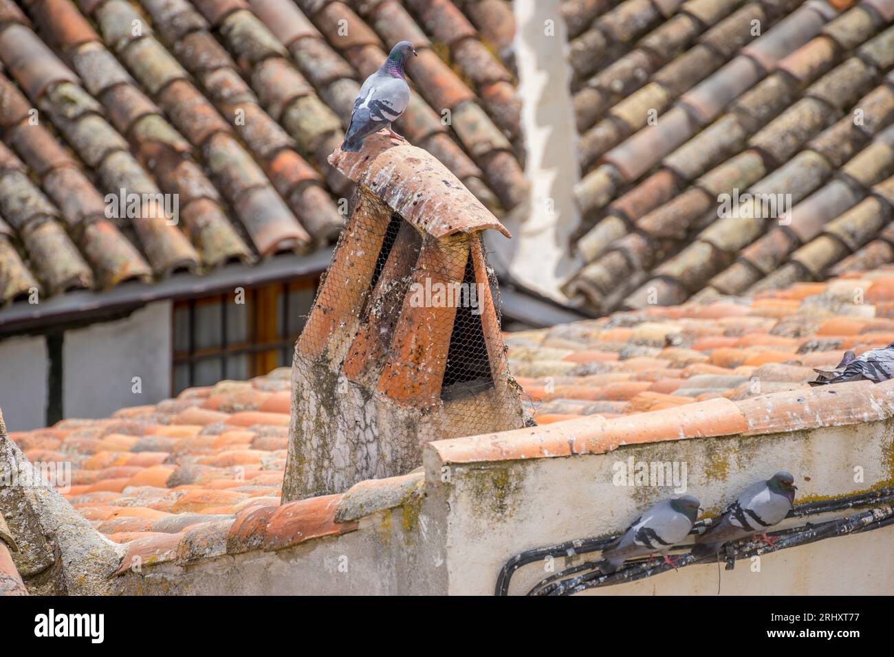 ancient houses, rustic Castilian design, scenic views of the town ...