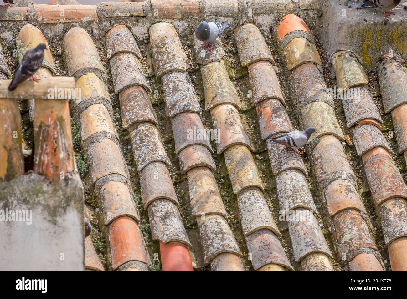ancient houses, rustic Castilian design, scenic views of the town ...