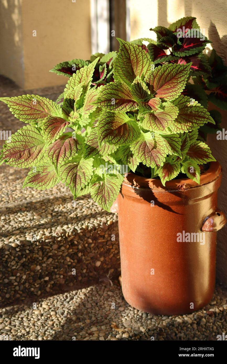Salt and flame hi-res stock photography and images - Alamy