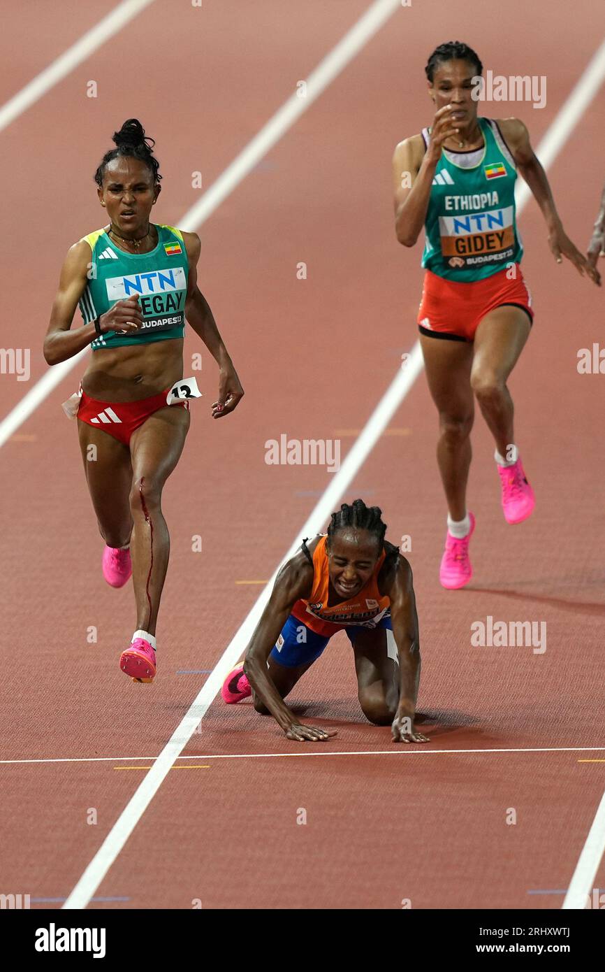 Sifan Hassan Of The Netherlands Falls As She Approaches The Finish