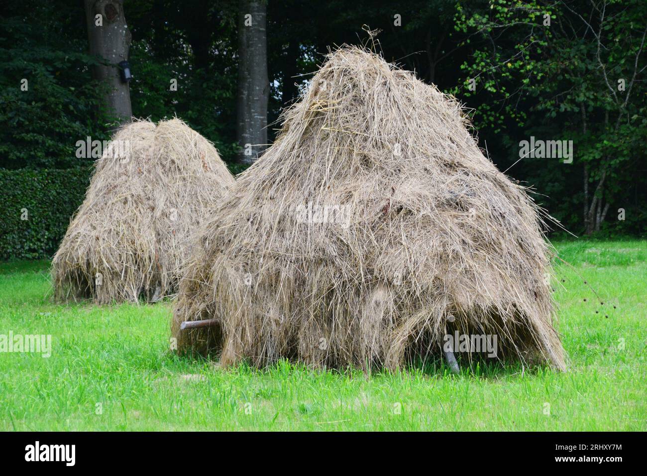 A beautiful animal house made of hay Stock Photo - Alamy