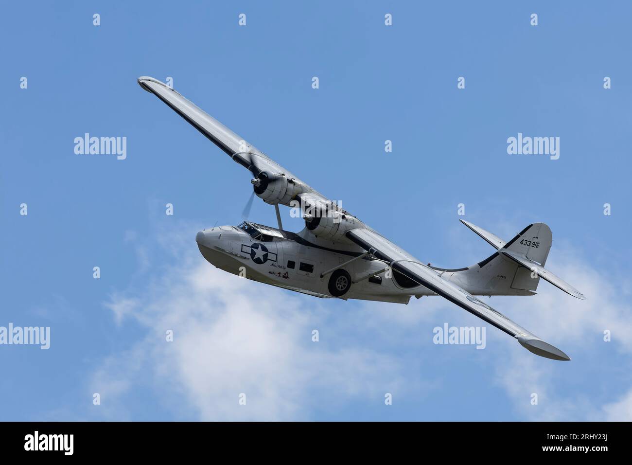 Two wasp flying in hi-res stock photography and images - Alamy