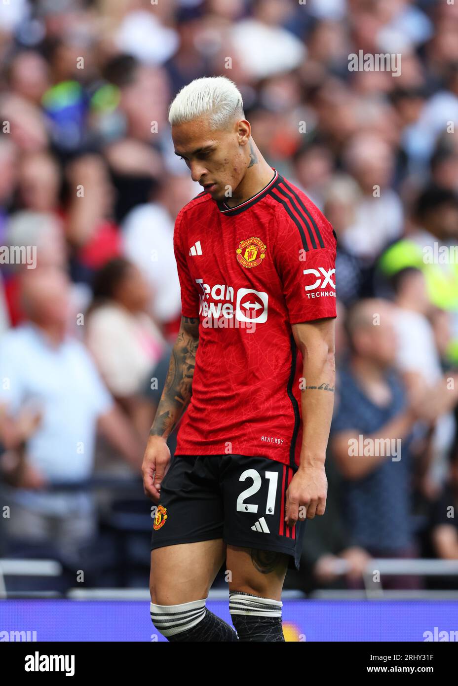 x19th August 2023; Tottenham Hotspur Stadium, London, England; Premier ...